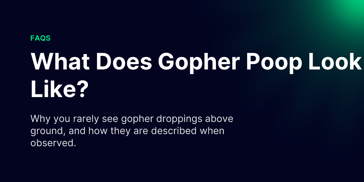 What Does Gopher Poop Look Like? - Gopher Guide