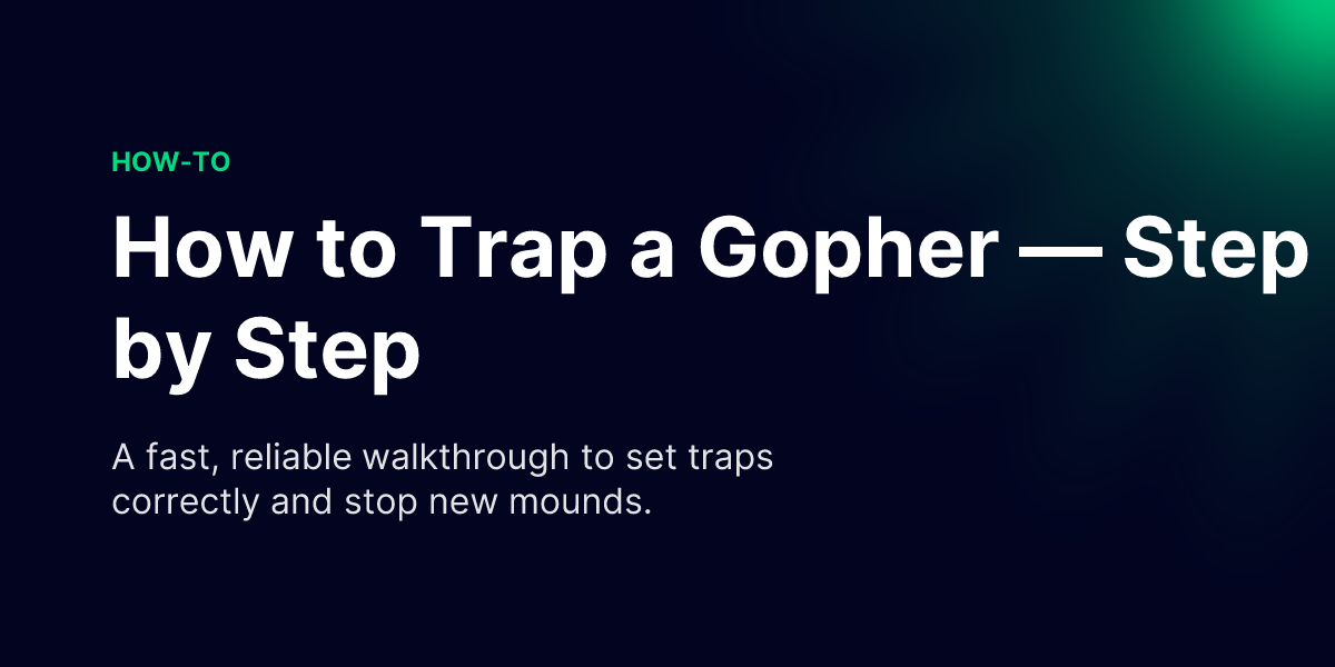 How to Trap a Gopher — Step by Step - Gopher Guide