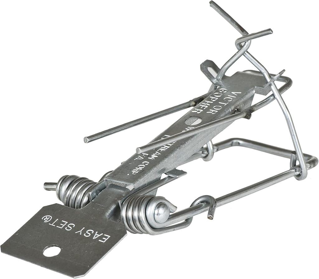 How to Trap a Gopher (Step‑by‑Step, with Victor Trap Instructions ...